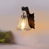 Devansh Solid Wood Electric Wall Light in Brown Colour with Transparent ...
