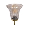 Devansh Metal Electric Wall Light in Gold Colour with Transparent Shade ...